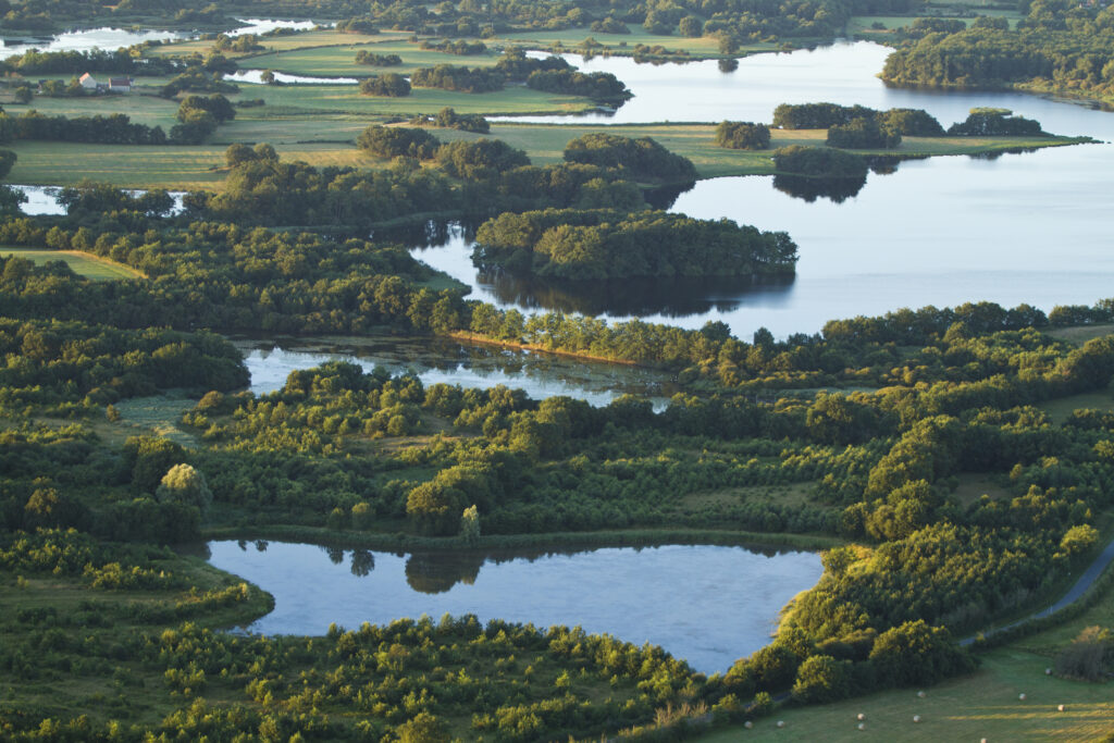 Programme Festival 2024 - Film Attention fragiles, les étangs de Brenne | Patrick Luneau et ...